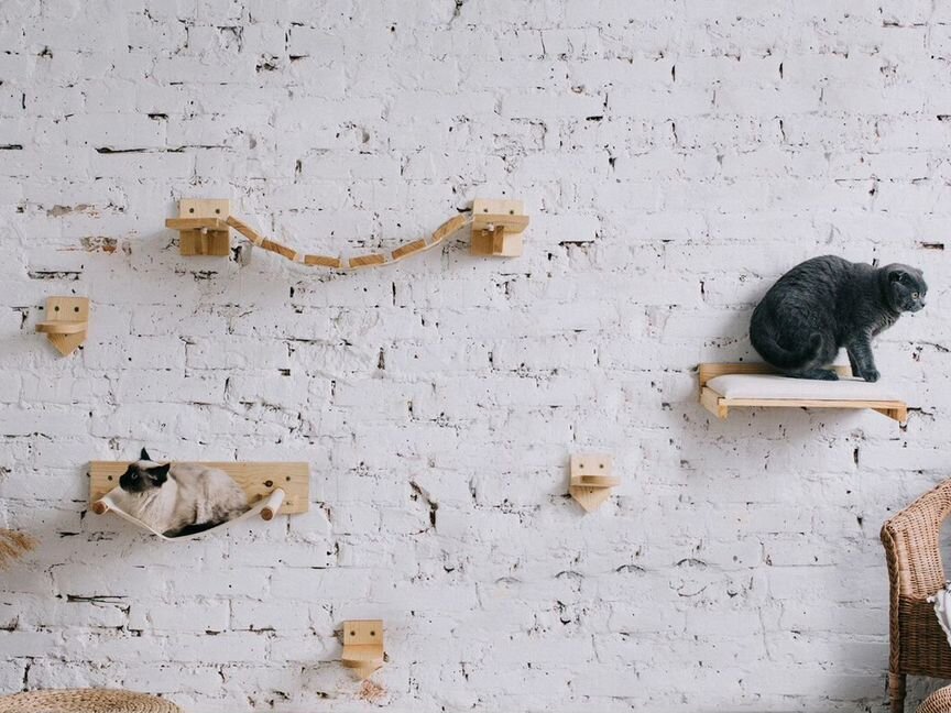 Настенный комплекс для кошек