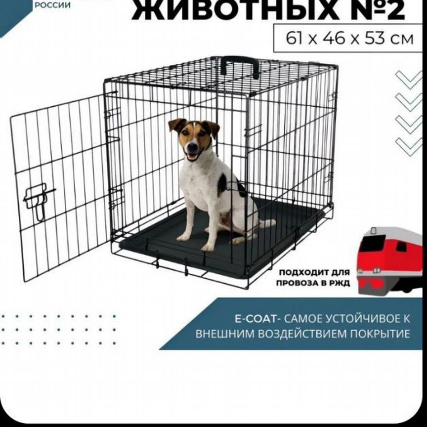 Клетка