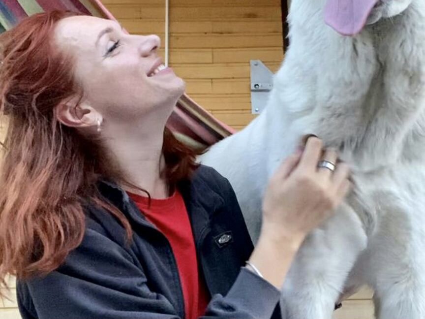 Алабай вязка