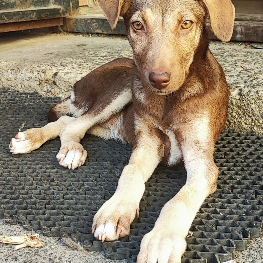 Джесси - очаровательное чудо