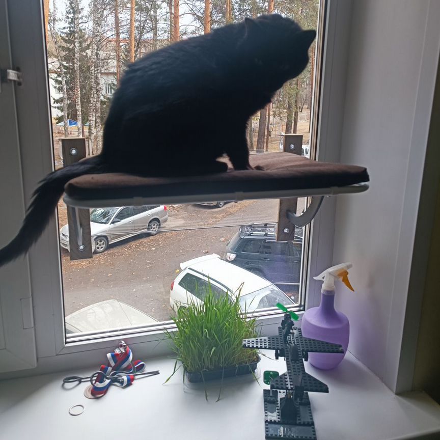 Лежанка для кошек на окно