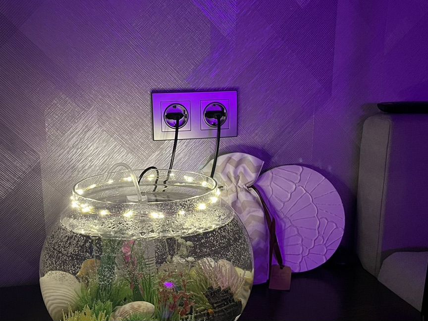 Аквариум с рыбками