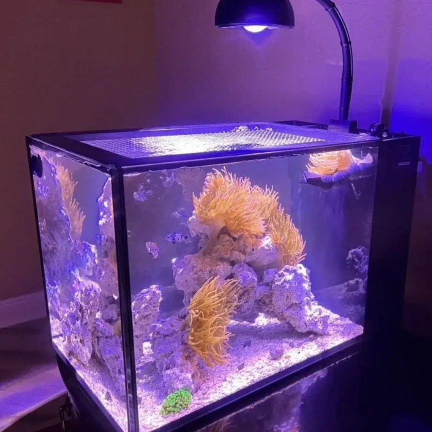 Светильник для морского аквариума 60 W