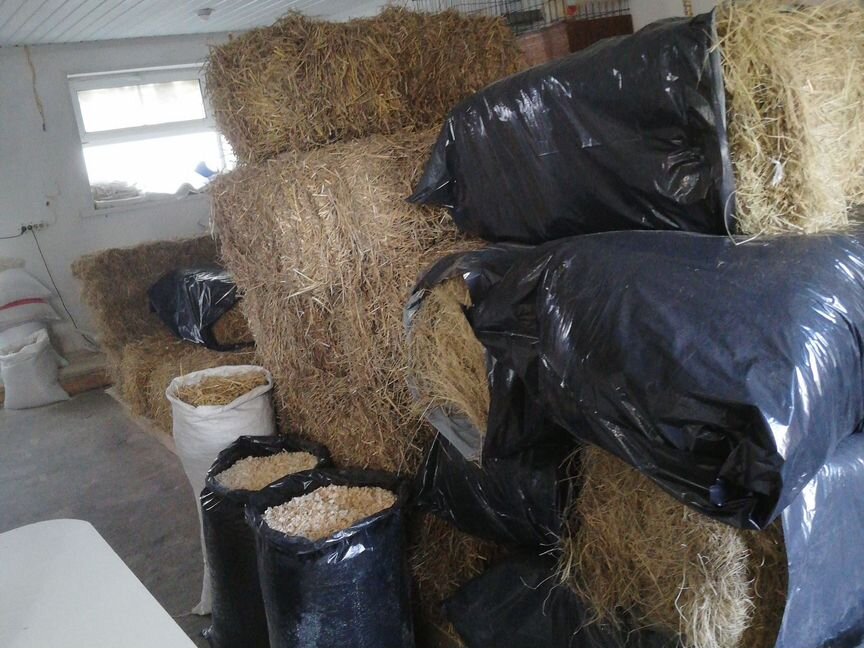 Солома - сено - стружка
