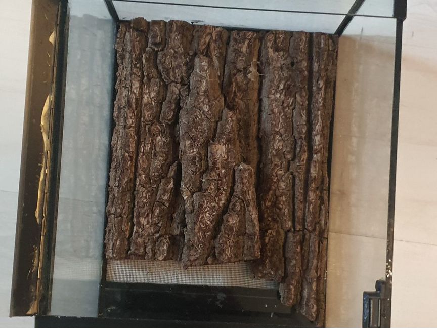 Террариум для рептилий