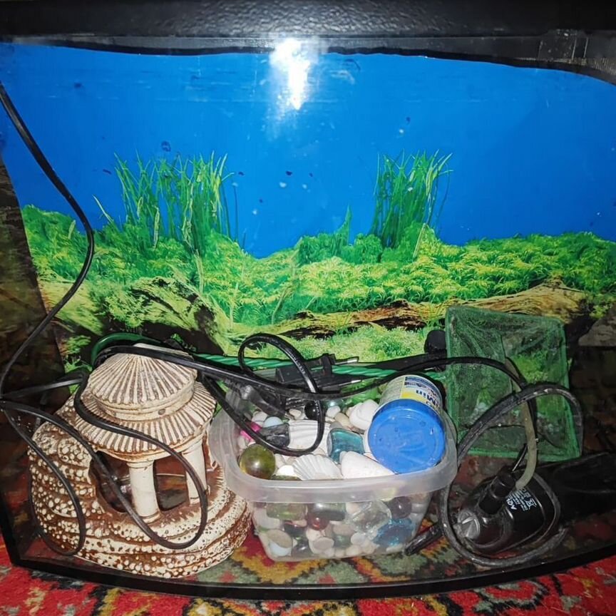 Аквариум со всем содержимым