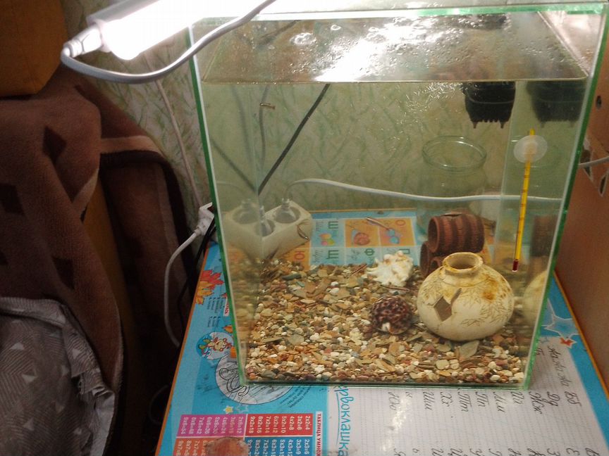 Аквариум с рыбками