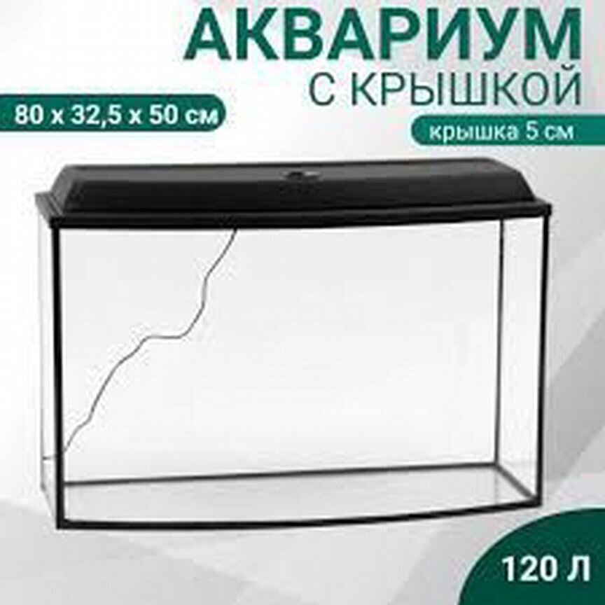 Аквариум
