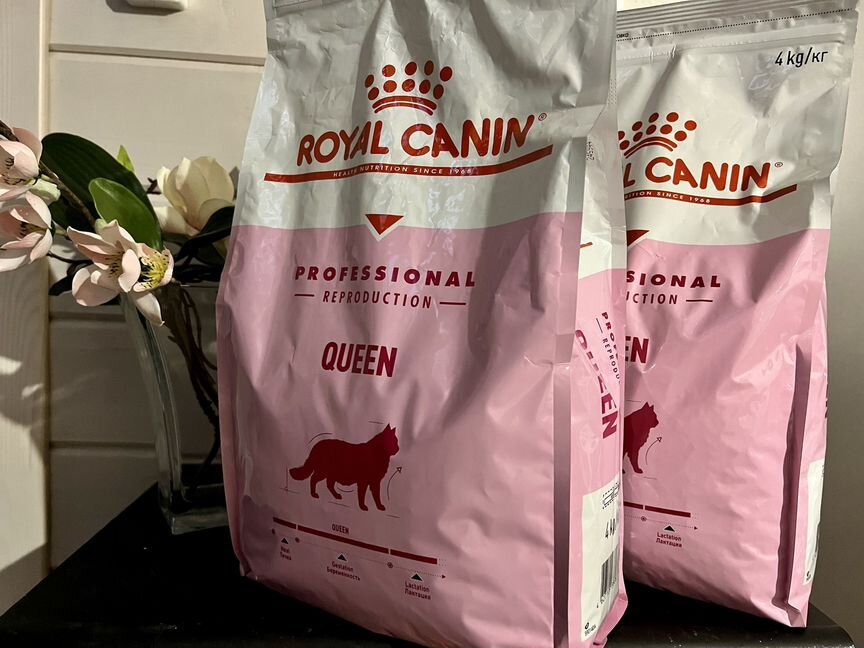 Корм для кошек Роял Канин квин Queen