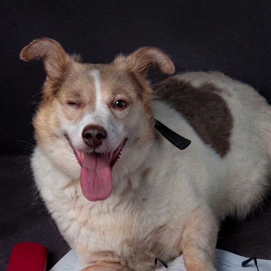 Миниатюрная девочка Груня в квартиру