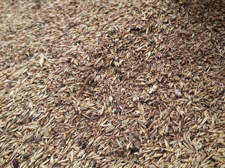 Зерноотходы