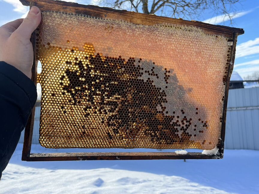 Рамки медовые кормовые для пчел