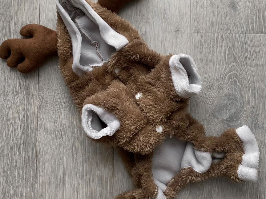 Новогодний костюм для собаки