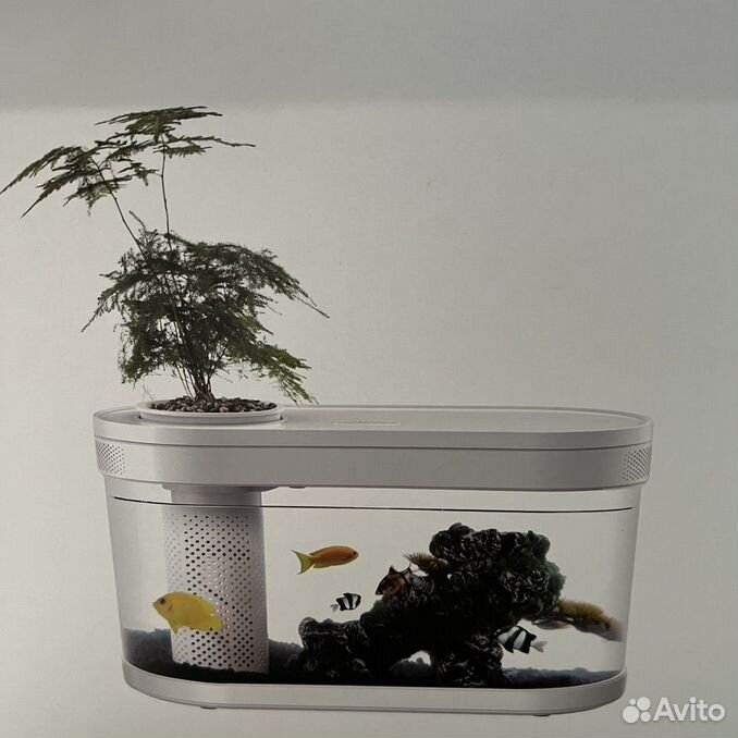 Акваферма xiaomi