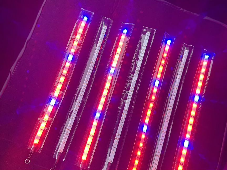 LED-пад для лошадей