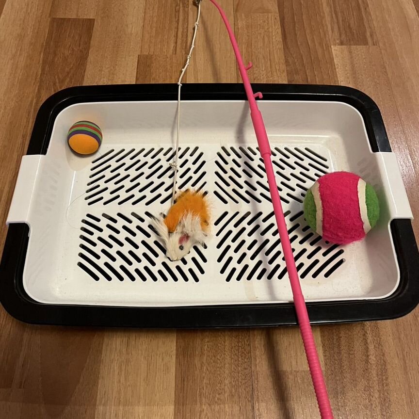 Набор для котенка