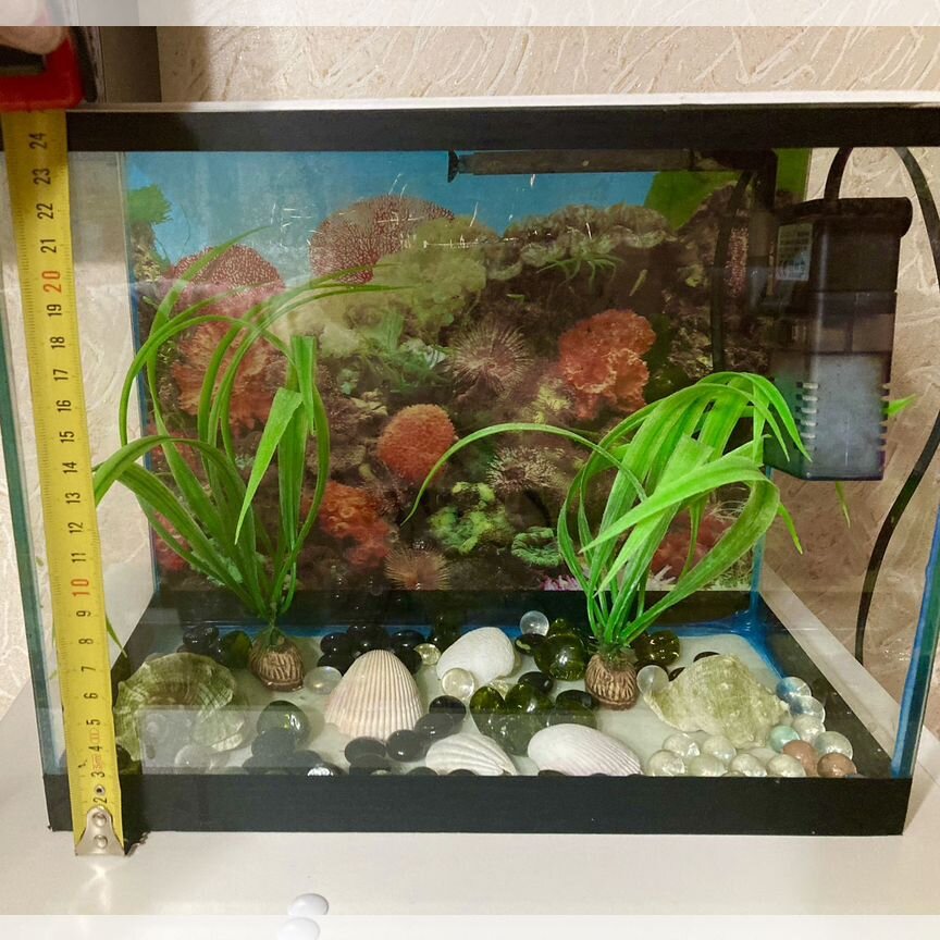 Аквариум 10 литров