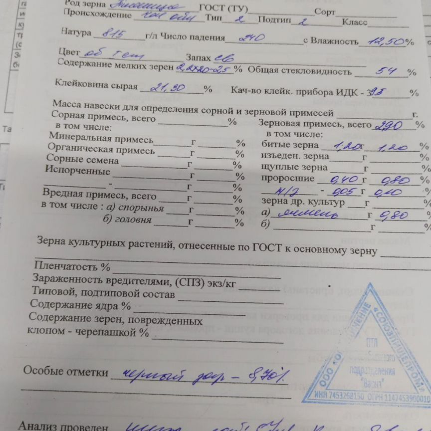 Пшеница твердая