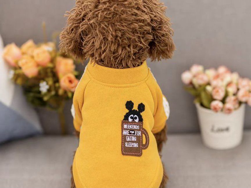 Кофта и шлейка