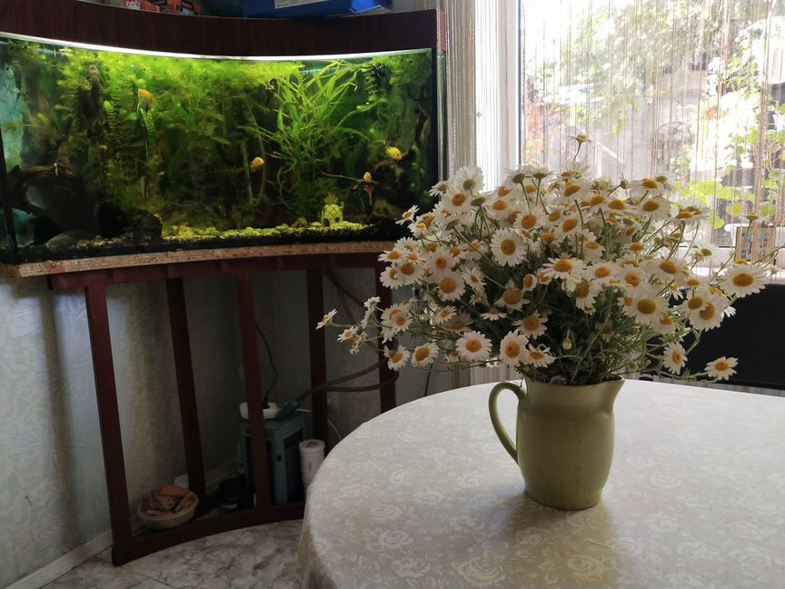 Аквариум с тумбой,рыбами,оборудованием