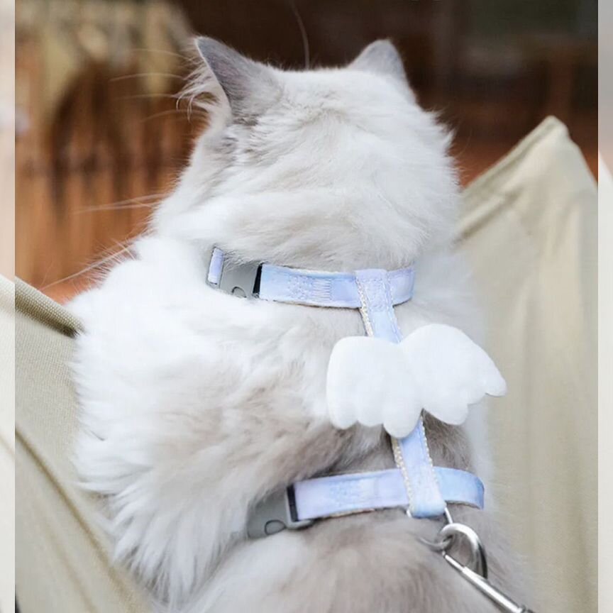 Шлейка для кошки с поводком