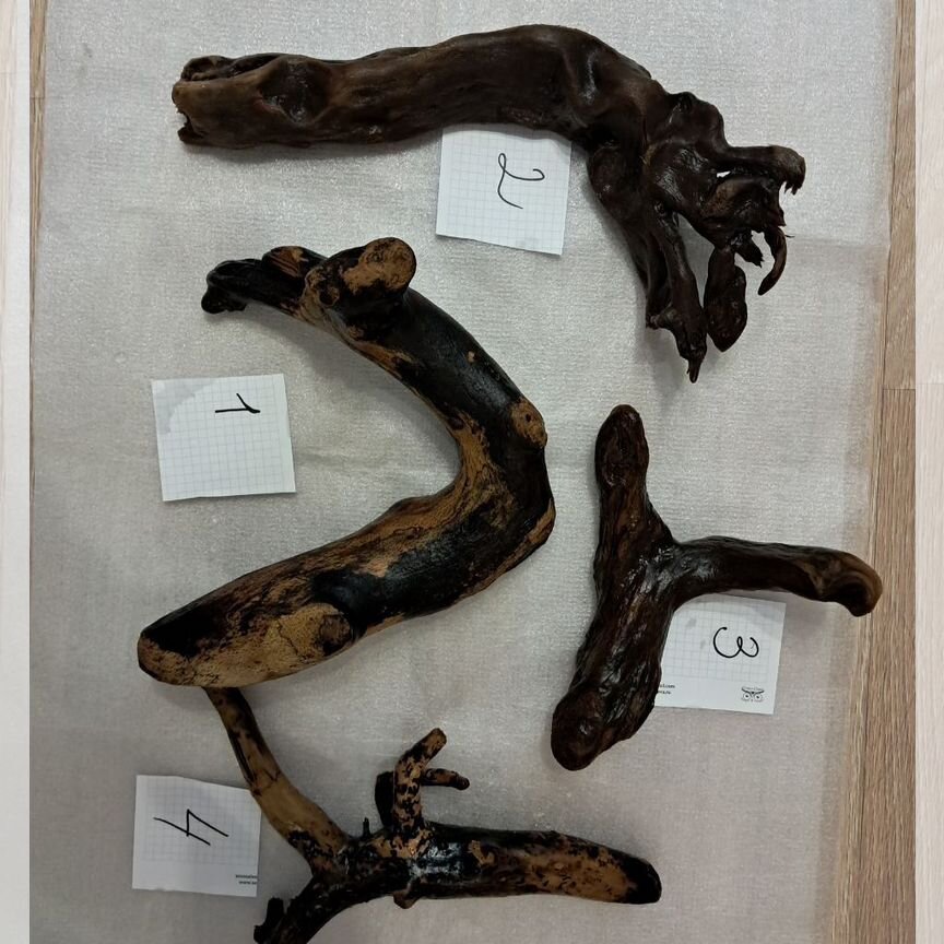 Коряги для аквариума