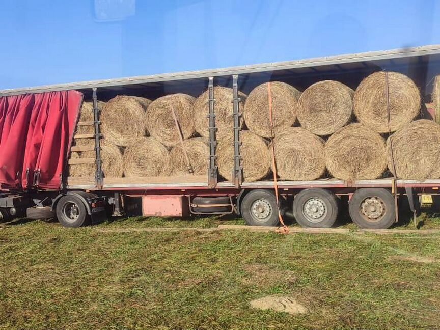 Сено 2023 с доставкой