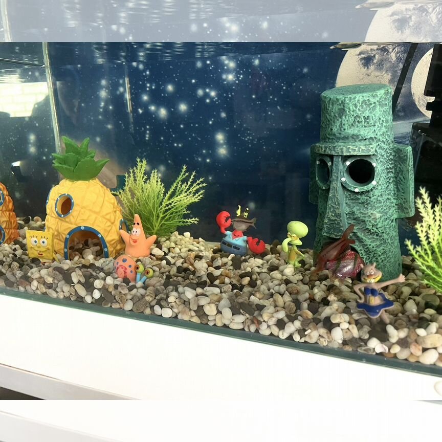 Аквариум с рыбками