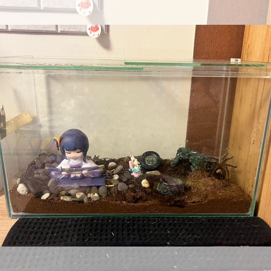 Аквариум с крышкой 20 литров