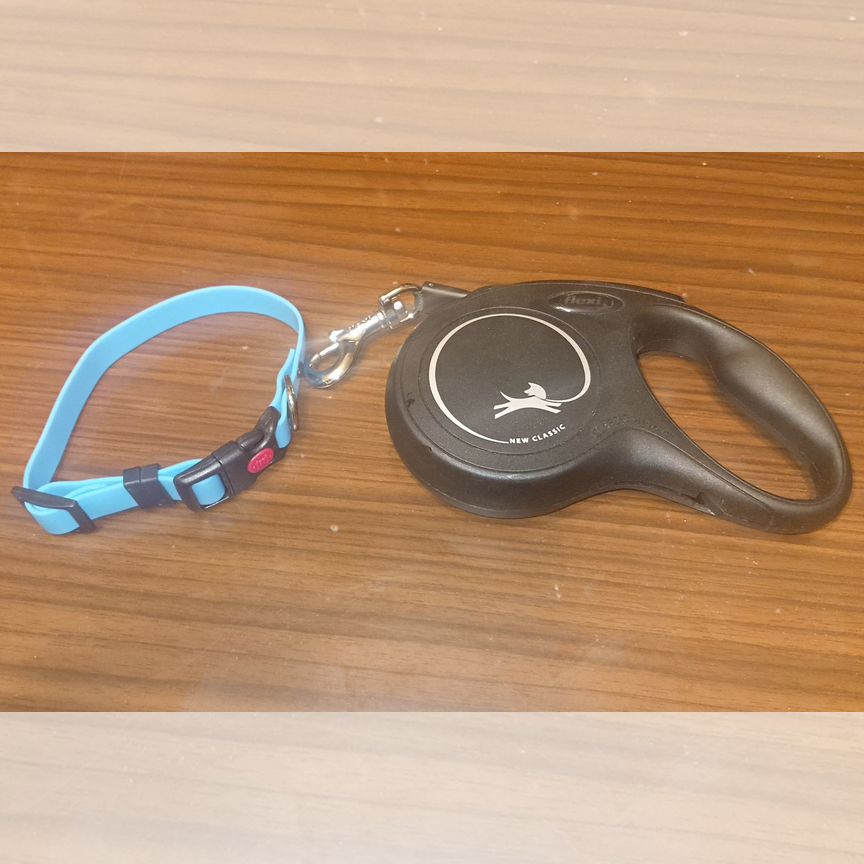 Новая рулетка Flexi Neww classic