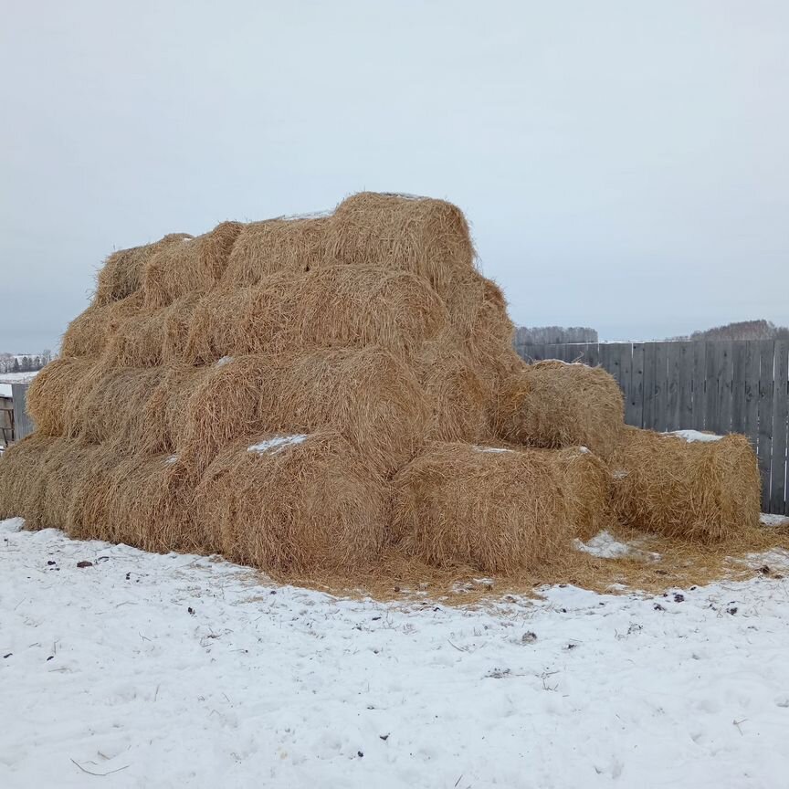 Солома в рулона