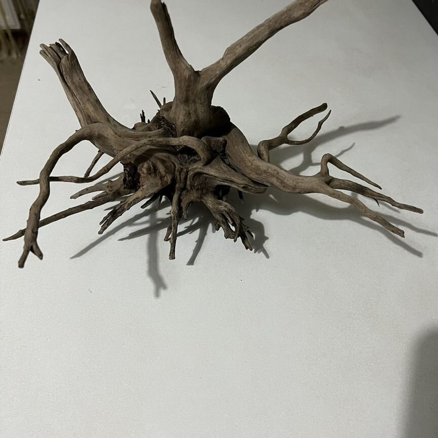 Коряжка