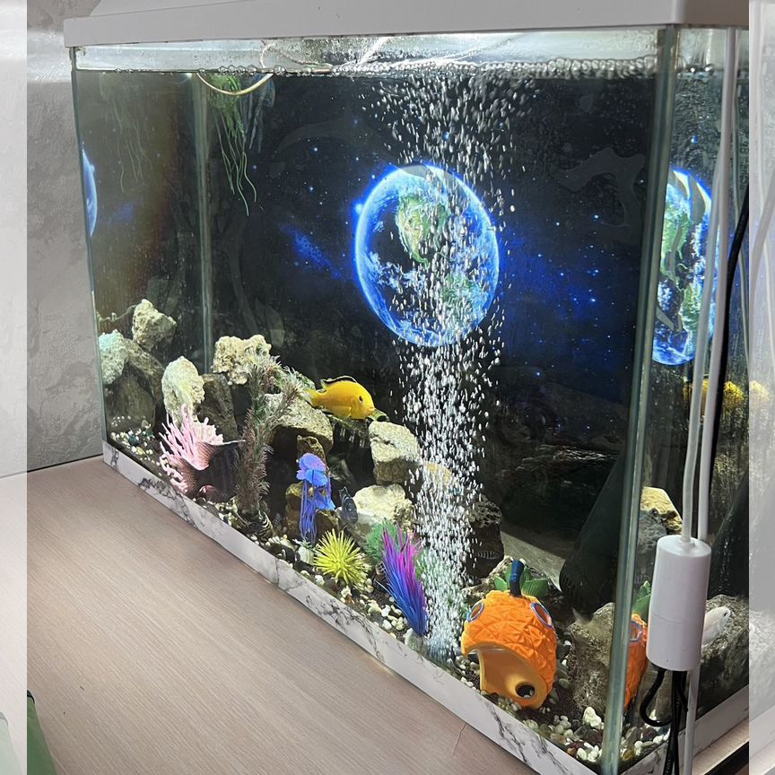 Аквариум с цихлидами