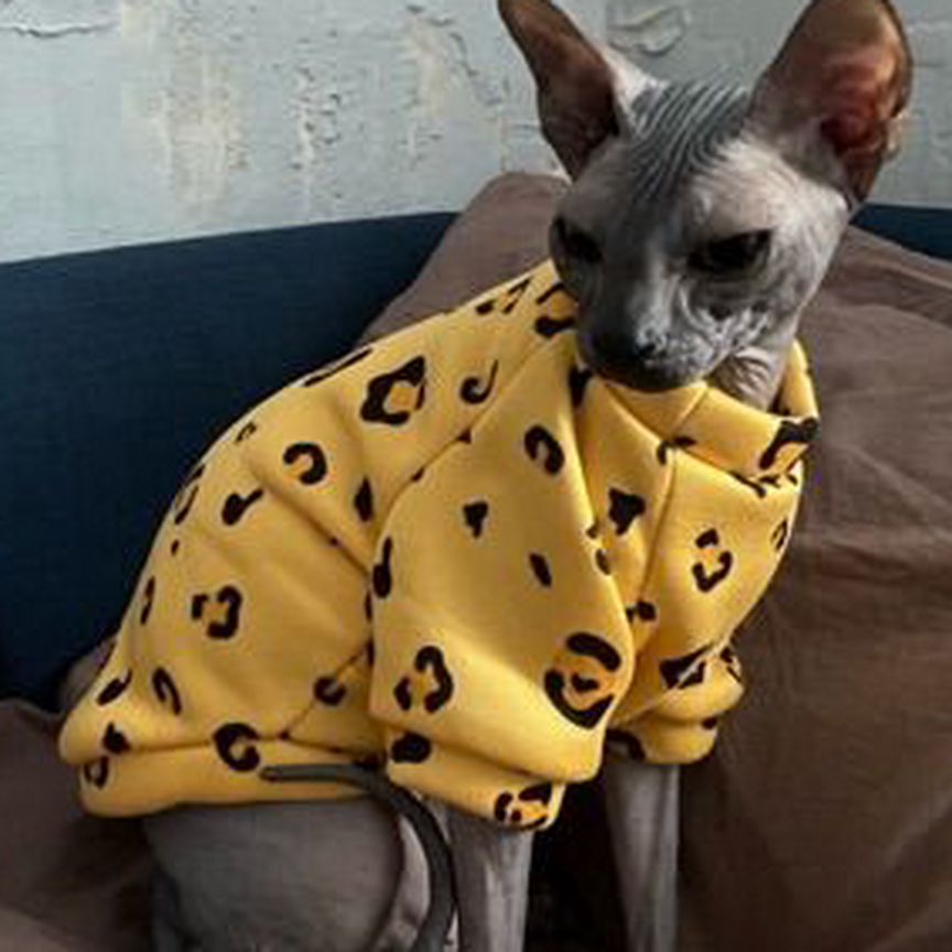 Кофта для кошки