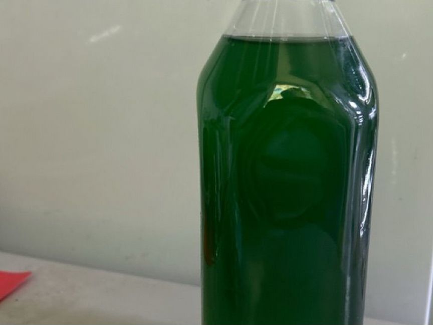 Морской фитопланктон Циано стоп