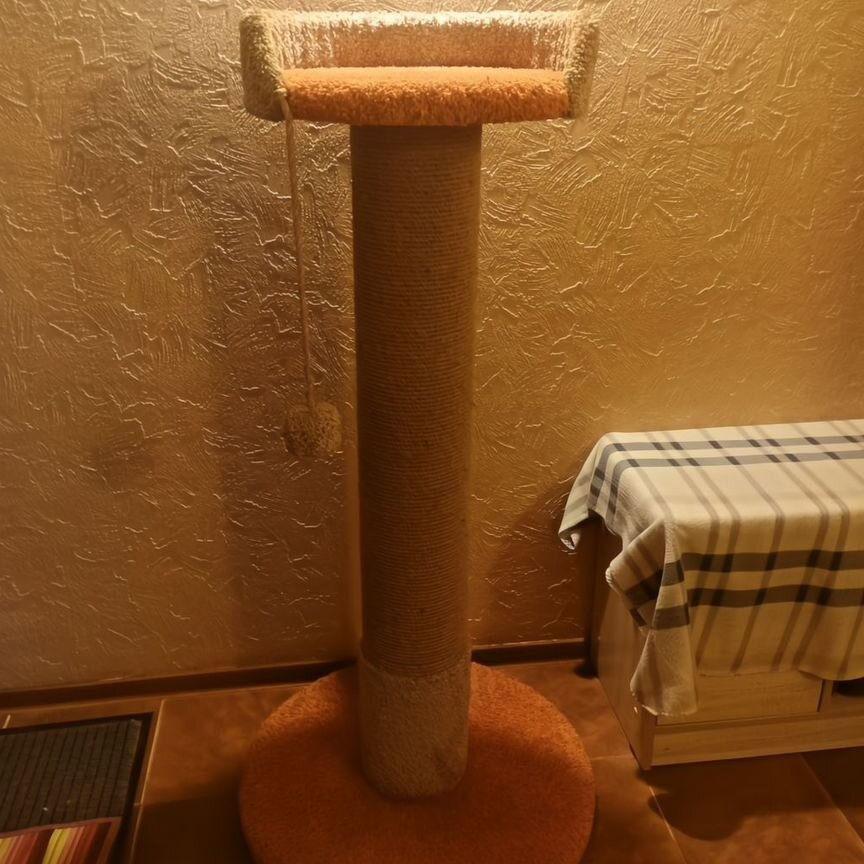 Когтеточка