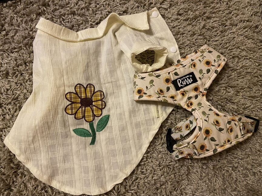 Шлейка и рубашка для питомцев