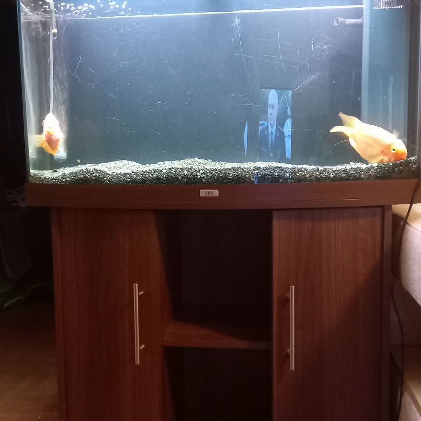 Juwel vision 180 с тумбой