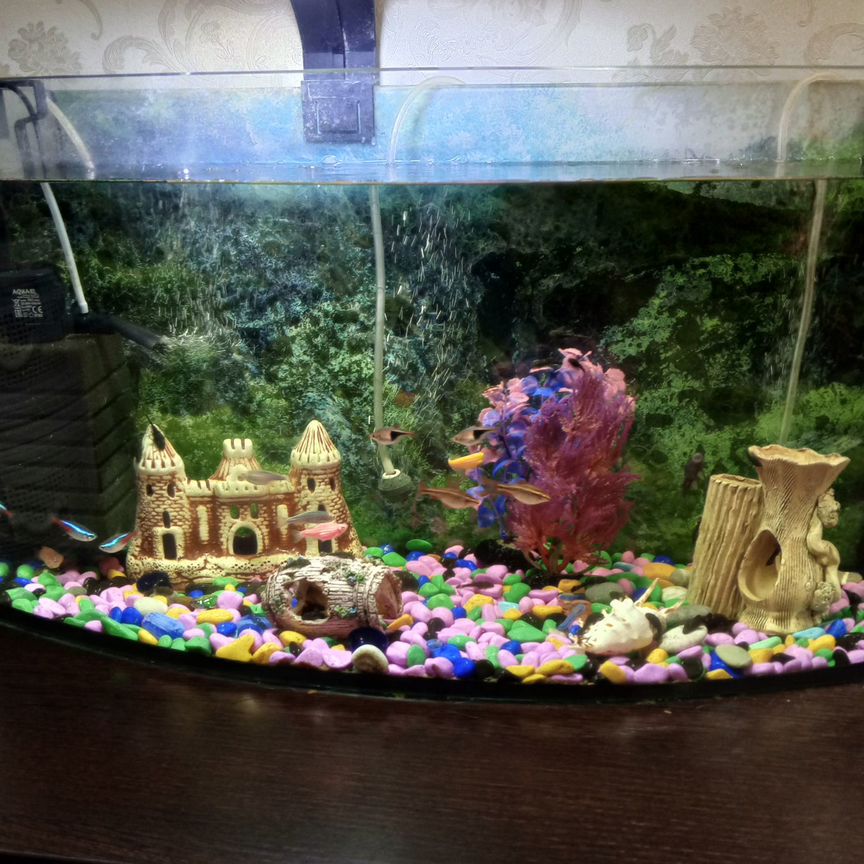 Аквариум