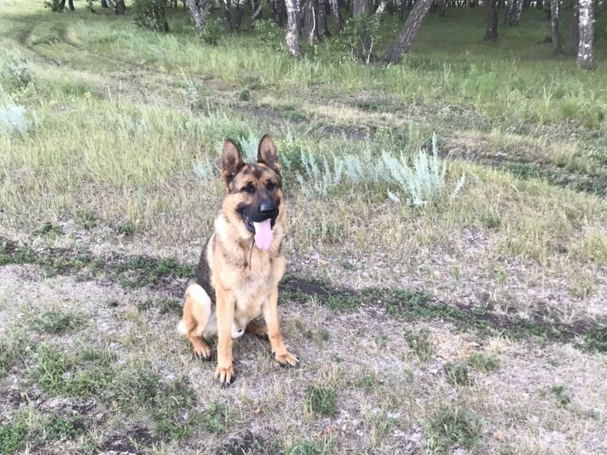 Кабель немца для вязки