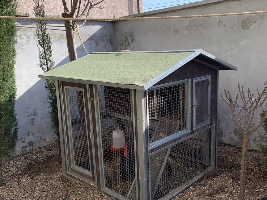 Курятник с Петушком