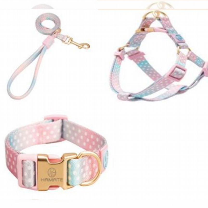 Амуниция для собак (маленьких, средних пород)