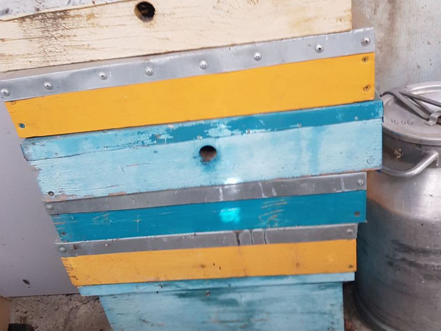 Улики для пчел