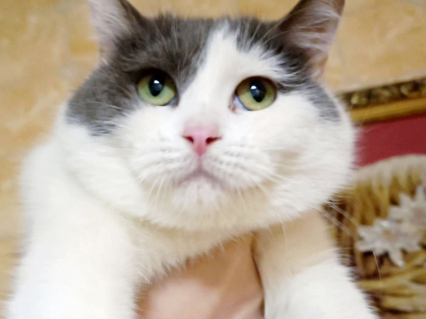 Крик О Помощи. Спасите Жизнь