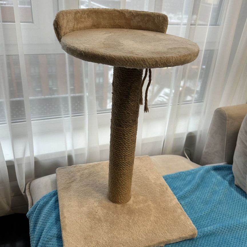 Когтеточка для кошки с лежанкой