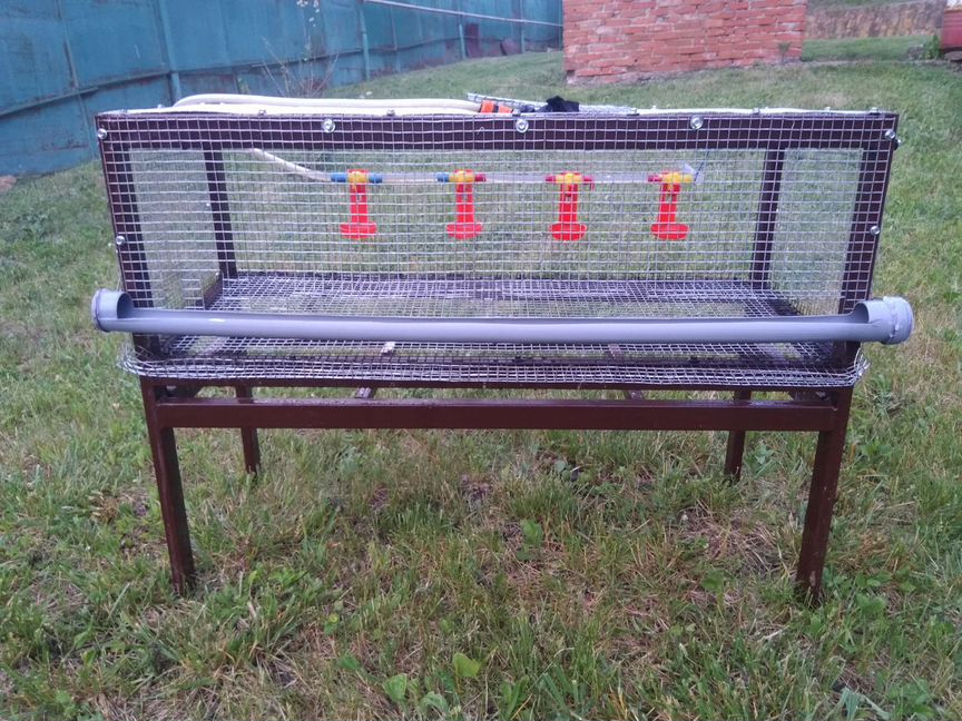 Клетка для перепелок