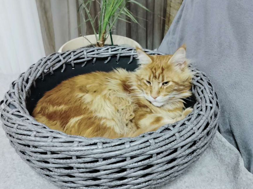 Лежанка для животных