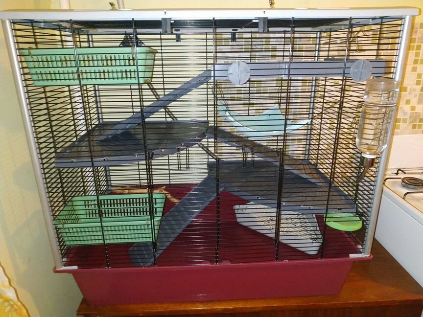 Обмен ferplast furat plus на casita 100