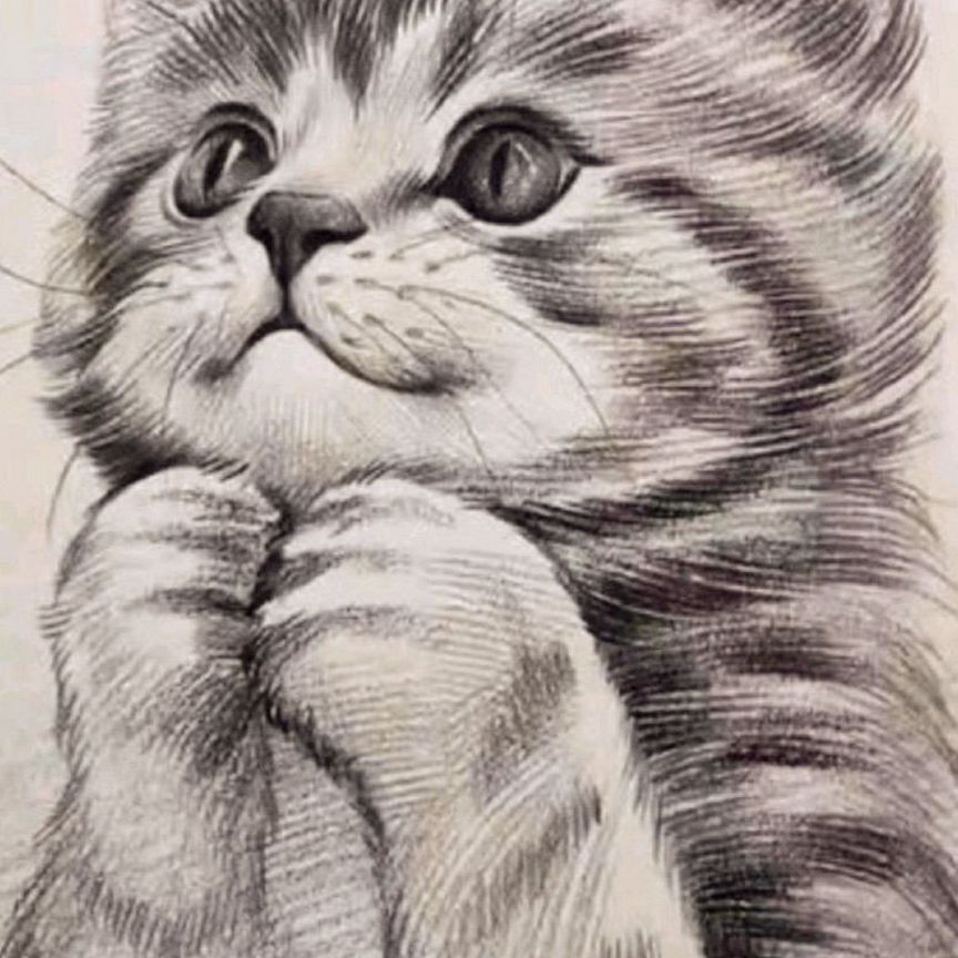 Рисую ваших питомцев