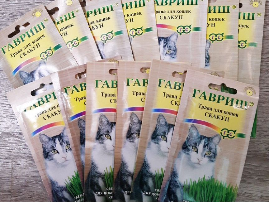 Семена травы для кошек новые